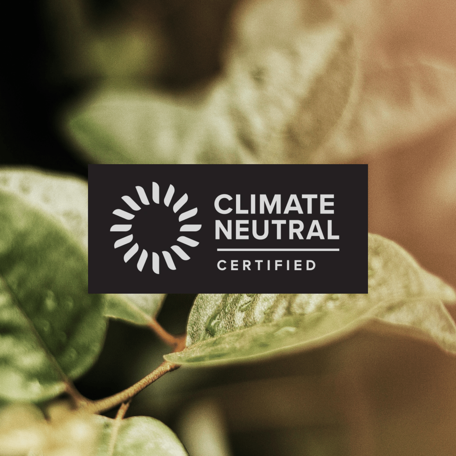 Everywhere Apparel Proudly Earns Climate Neutral Certification