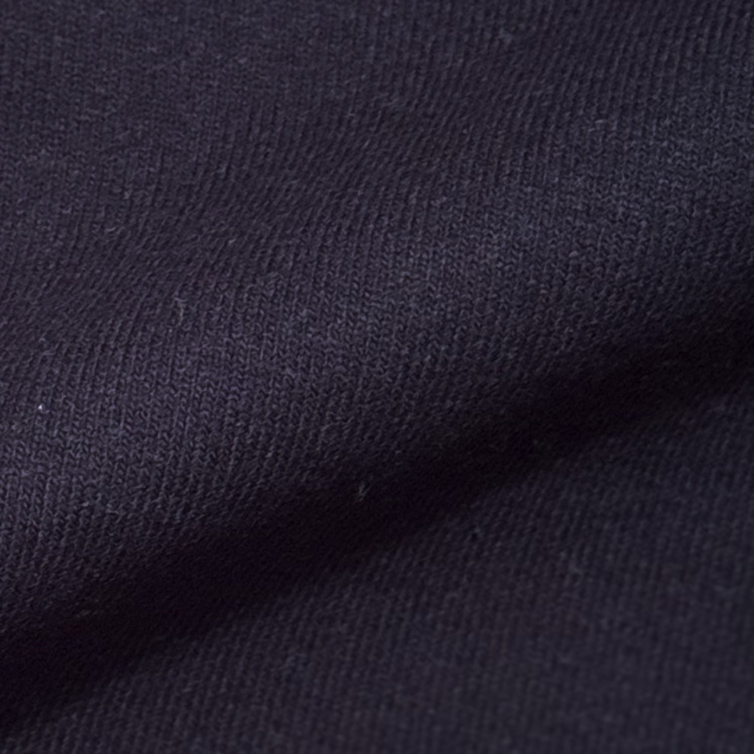 Heavy Rib Fabric w/ ROICA Stretch - FTR2020GIS-ROICA